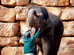 Prakash Iyer: How to say "no" to distractions!