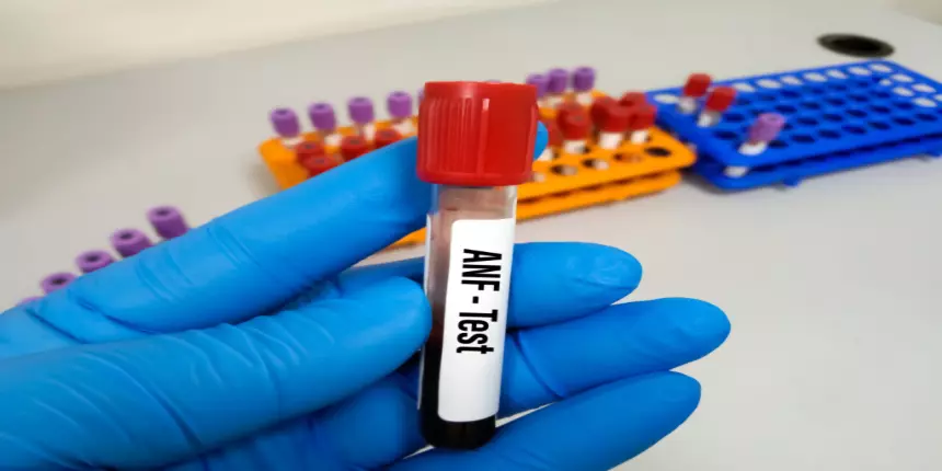 ANF Full Form - What is the full form of ANF?