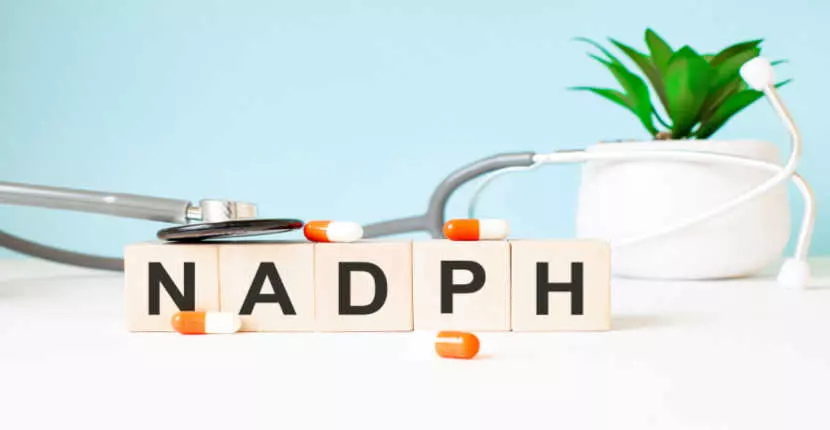 ATP and NADPH Full Form - What is the full form of ATP and NADPH?