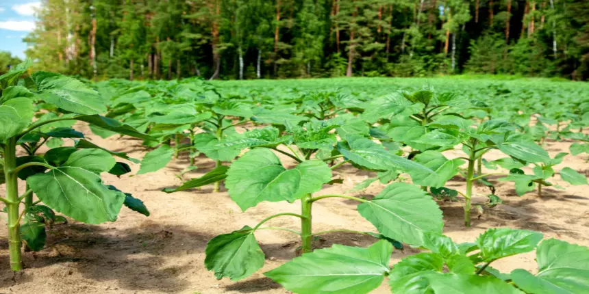 PGR Full Form - What is the full form of PGR