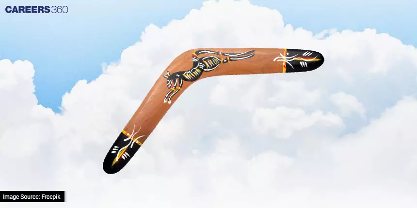 Explore The Physics of A Boomerang