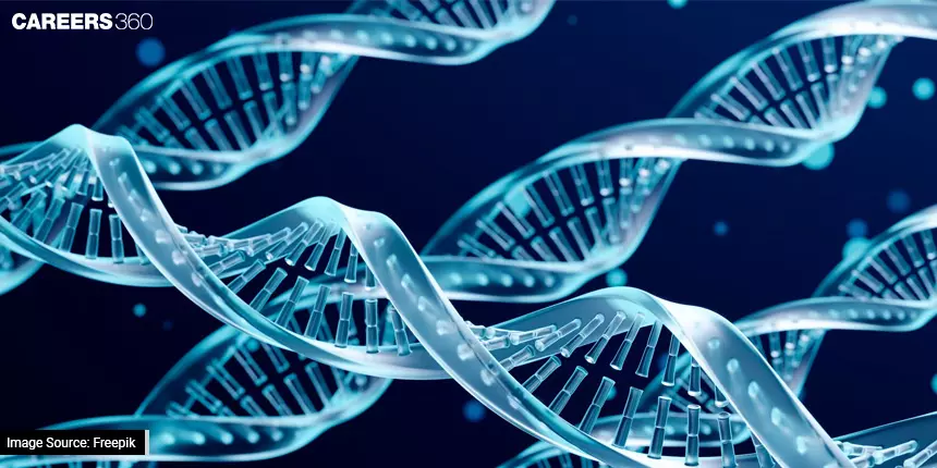 Discover the Pattern of Epigenetics: Interaction of Genes and Environment