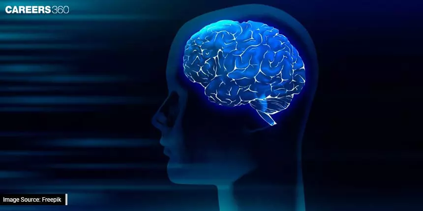 Neuroscience: The Advanced Study of Nervous System and Brain Function