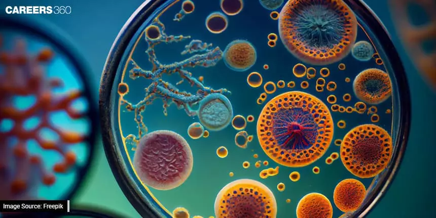 Endosymbiotic Theory: The Evolution of Eukaryotic Cells