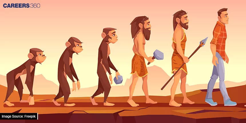 Evolution of Humans - How Humans To Become Earth’s Most Dominant Species