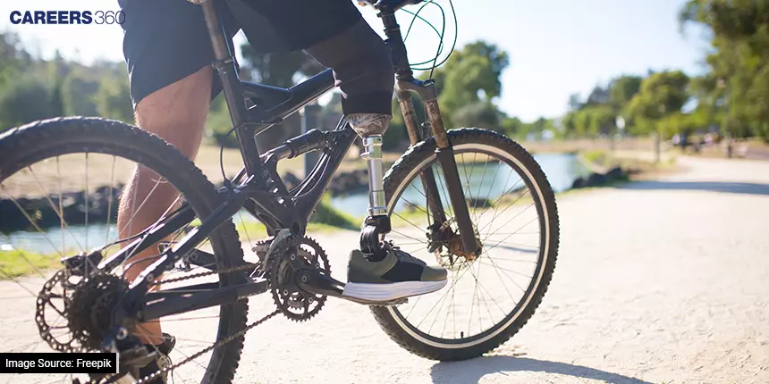 Physics Behind Bicycle Derailleur Systems - A Comprehensive Guide