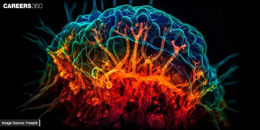 All About Biological Neural Networks - A Complete Guide