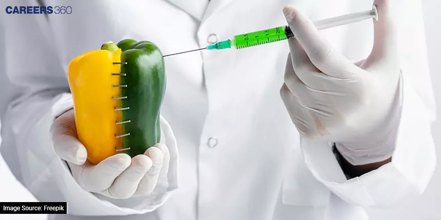 Gene-Edited Foods: Concerns, Latest Updates, and Safety Regulation