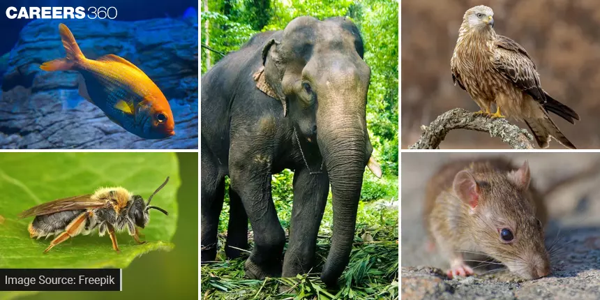 Osmoregulation & Water Excretion in Terrestrial Animals