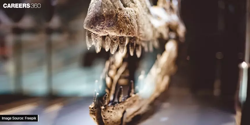 Mass Extinction's Impact on Ecosystems