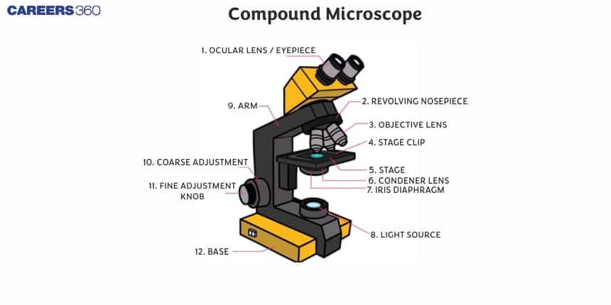 Compound Microscope: Definition, Diagram, Parts and Uses