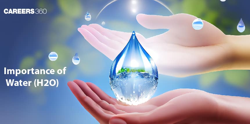 Importance of Water: List of Important Uses of Water (H2O)