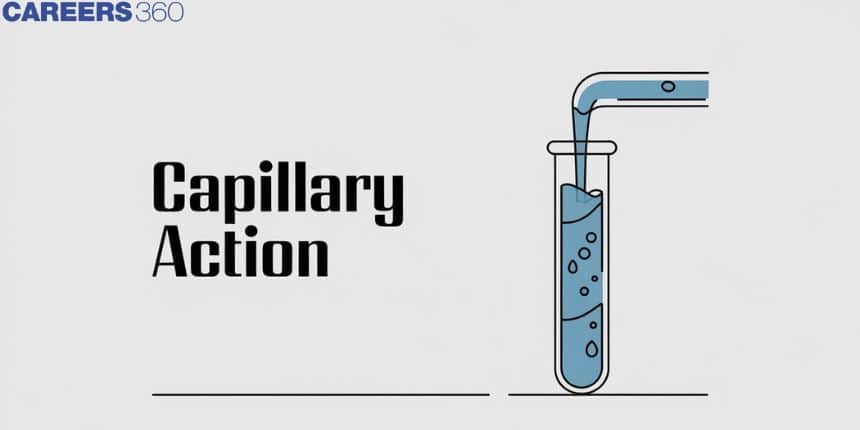 Capillary Action: Definition, Laws and Examples