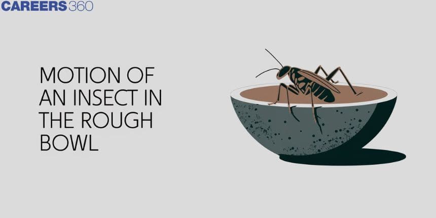 Motion Of An Insect In The Rough Bowl