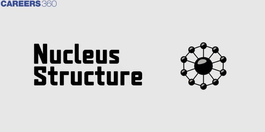 Nucleus Structure: Definition, Function, Structure and Facts