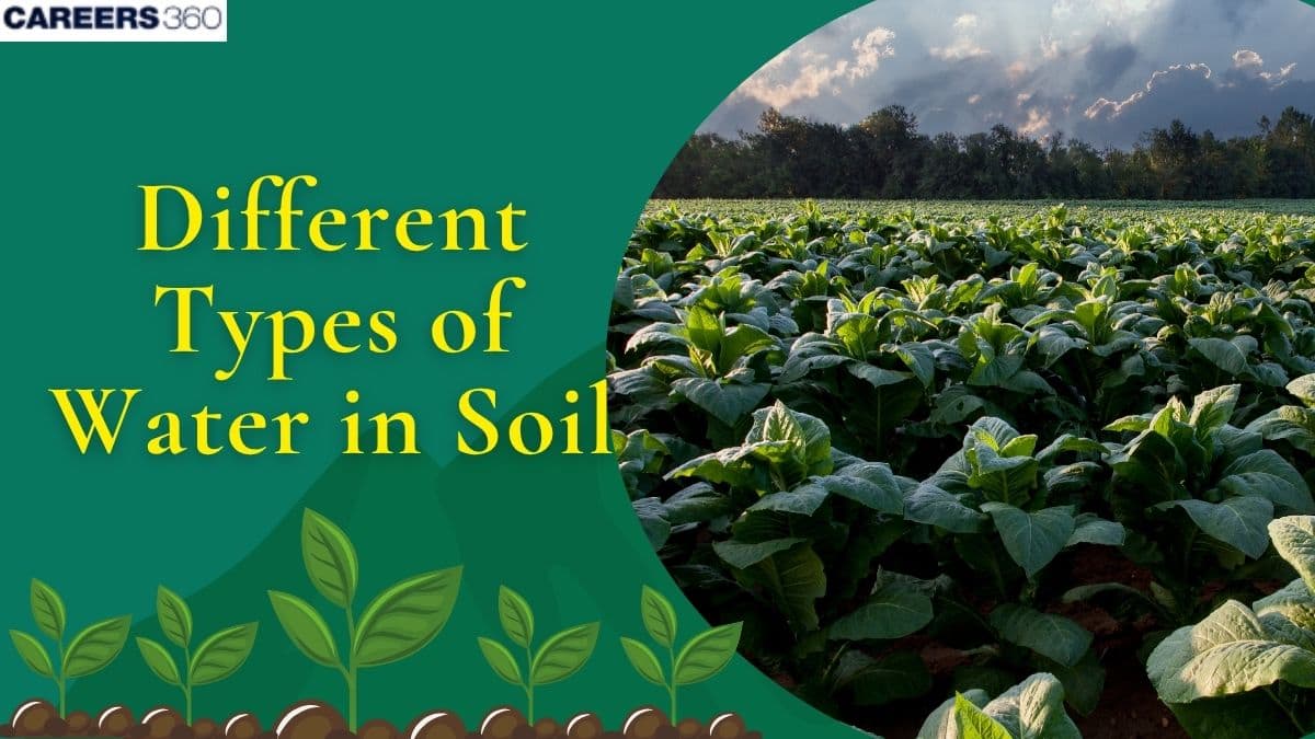 Different Types Of Water In Soil