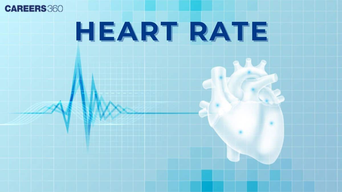 Heart Rate: Definition, Bradycardia, Tachycardia