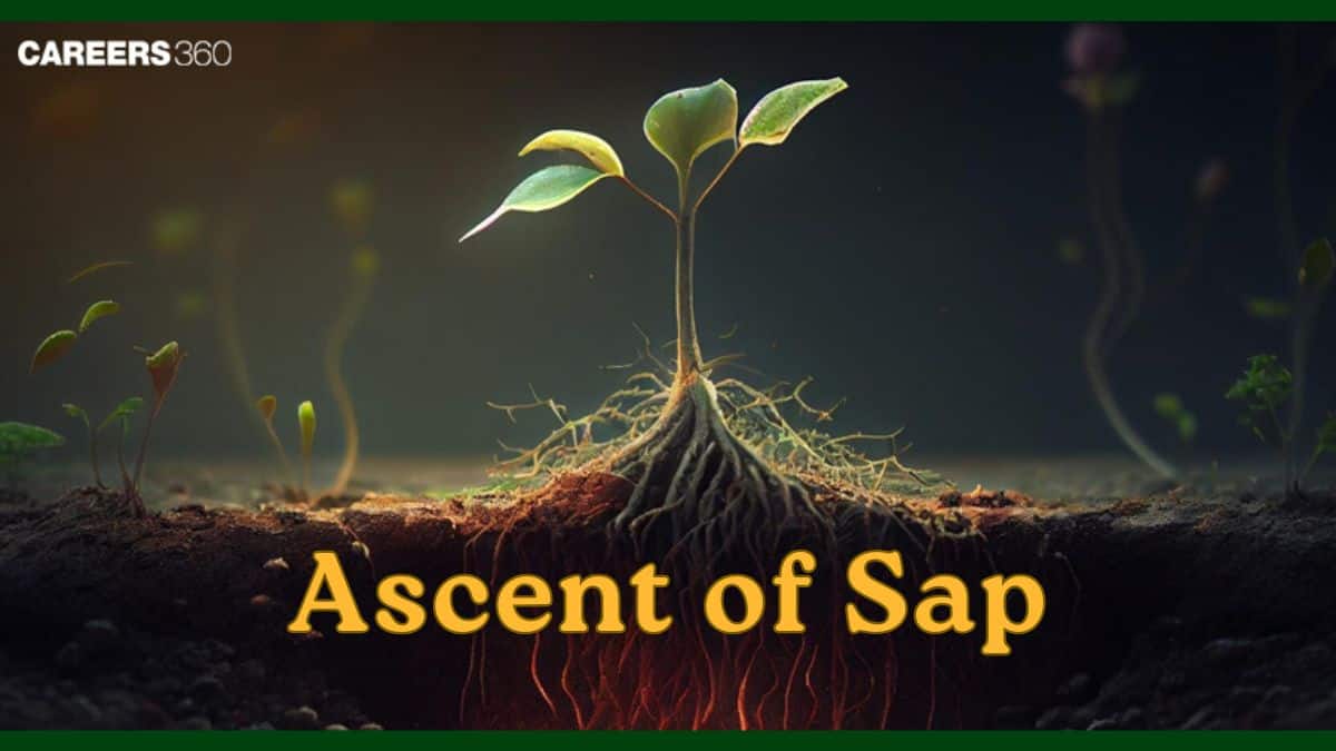 Ascent of Sap: Definition, Mechanisms and Theories