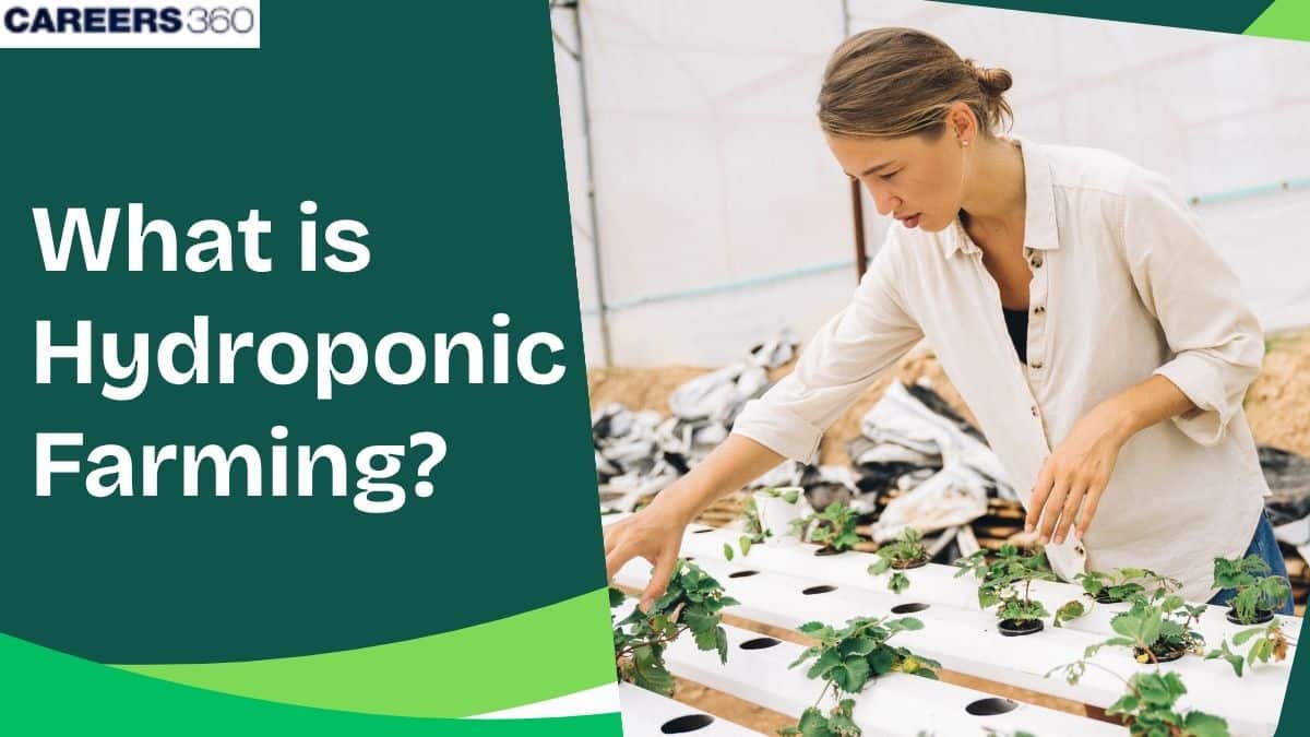 What Is Hydroponic Farming?: Definition, Uses, Benefits