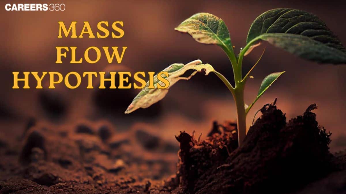 Mass Flow Hypothesis: Definition, Diagram, Mechanism Of Transportation