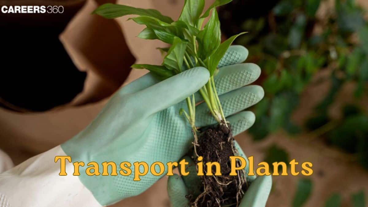 Transport in Plants: NEET Class 11 Biology notes