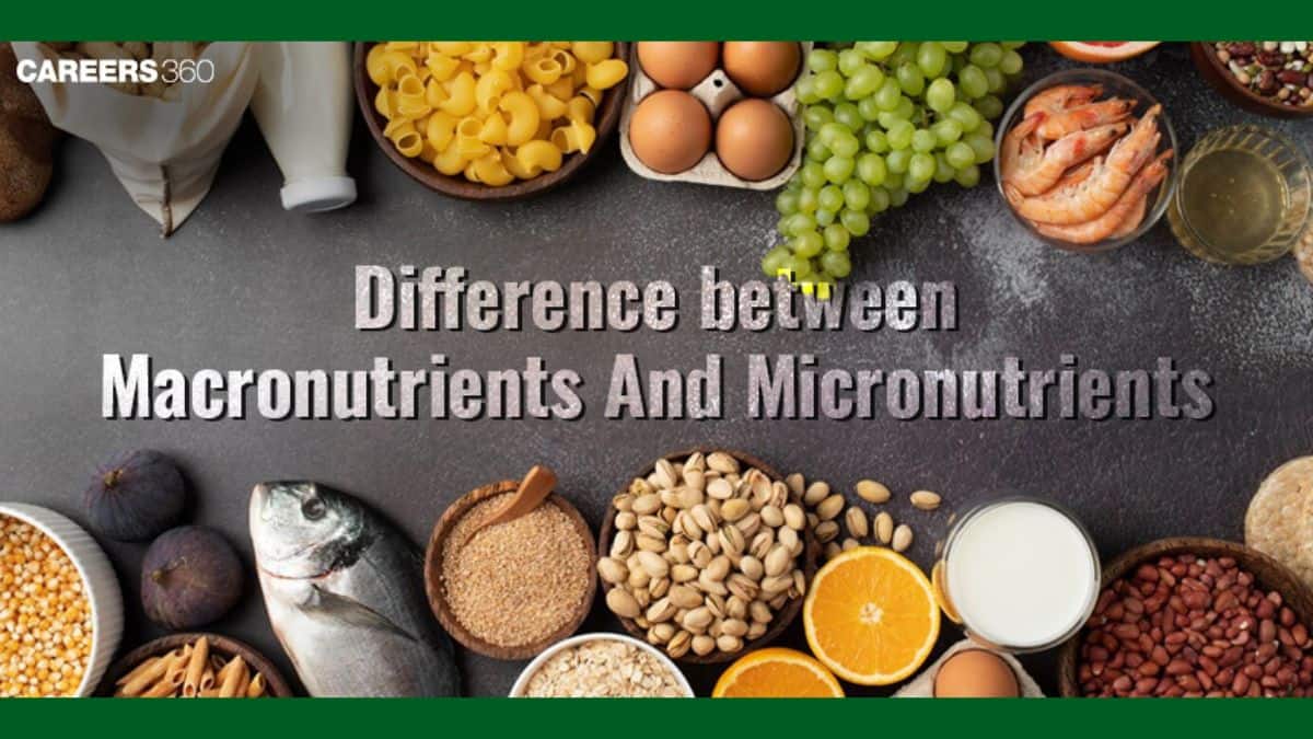 Difference between Macronutrients And Micronutrients - Overview ...