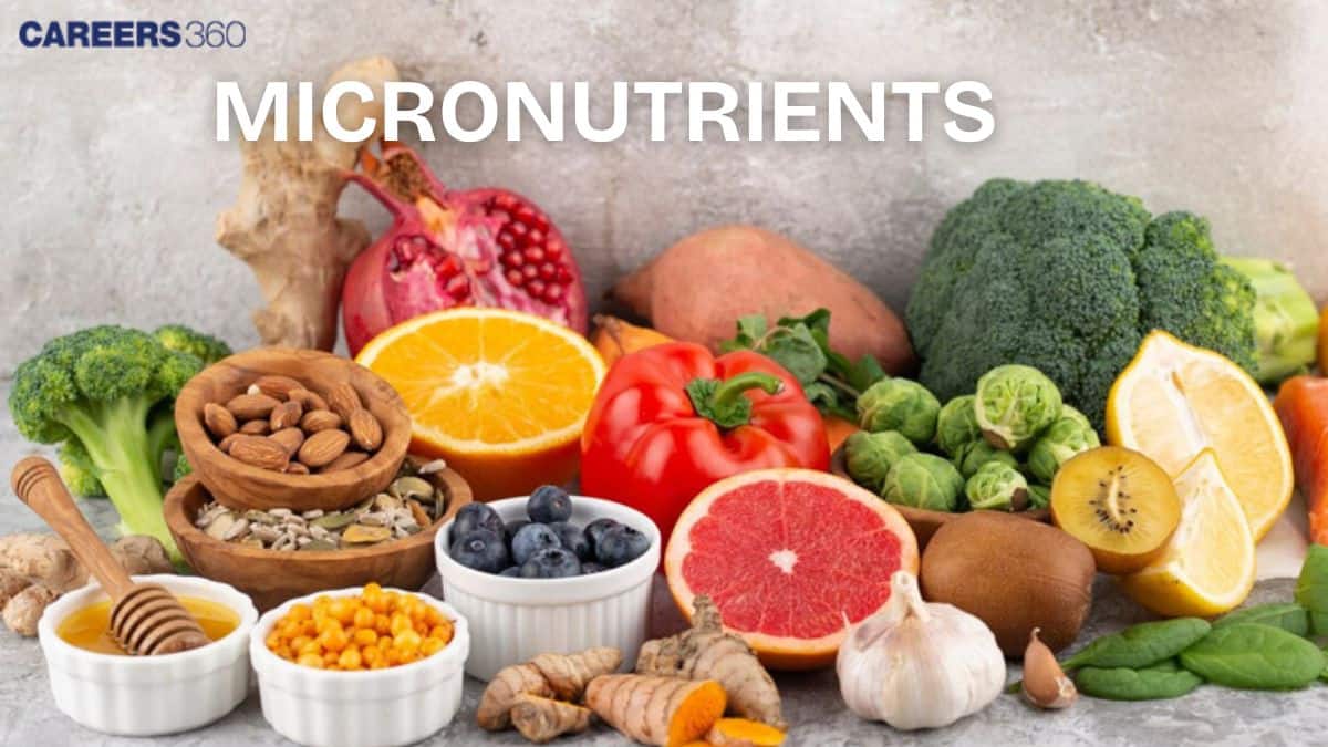 Micronutrients: Definition, Function, Types, Examples
