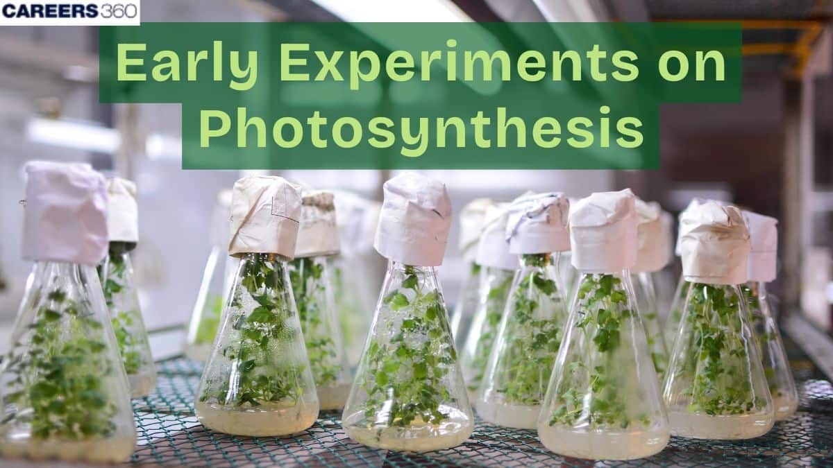 Early Experiments On Photosynthesis: Experiments And Factors Affecting