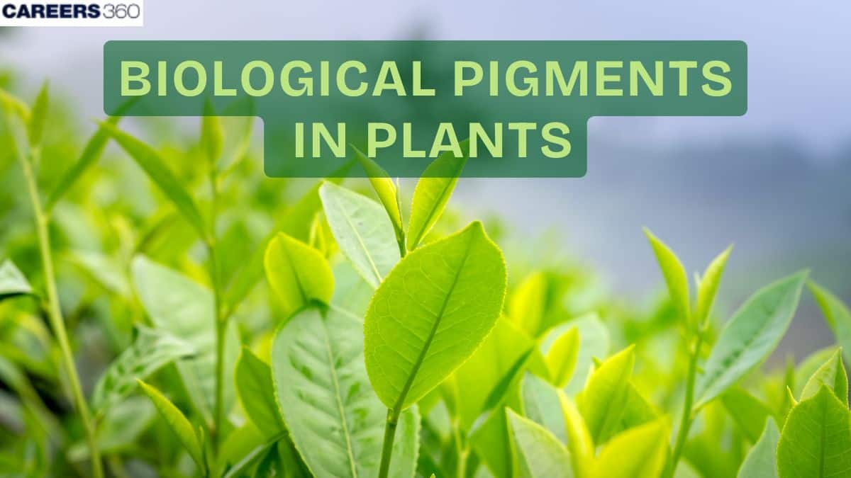 Biological Pigments in Plants: Definition, Types and Examples