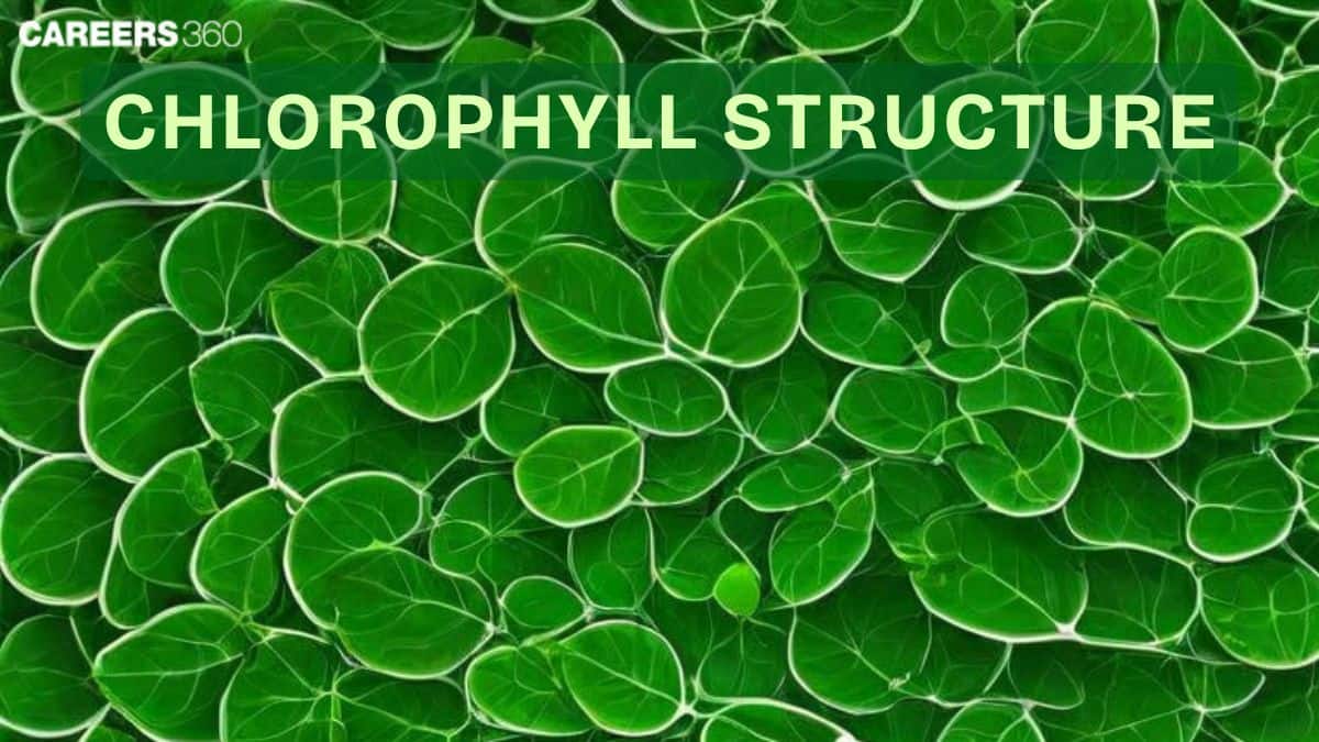 Chlorophyll Structure - Definition, Types, Biosynthesis, Uses