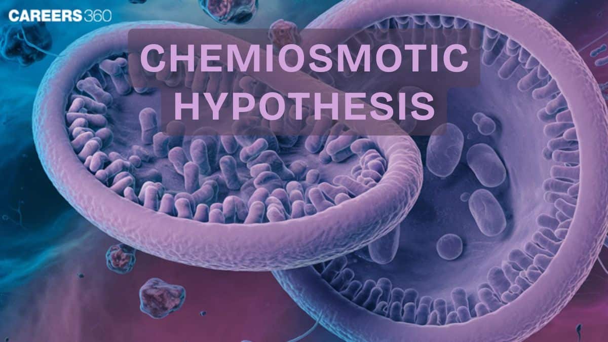 Chemiosmotic Hypothesis: Definition, Process, Examples, Theory ...