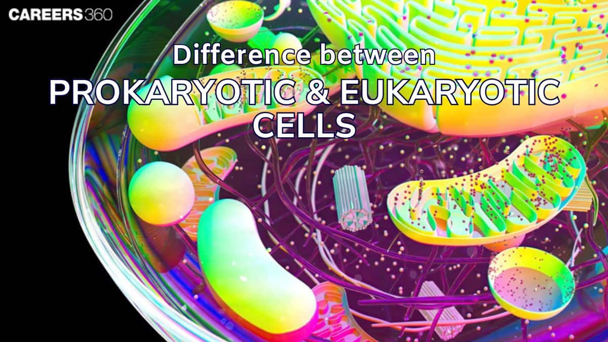 Difference between Prokaryotic and Eukaryotic Cells
