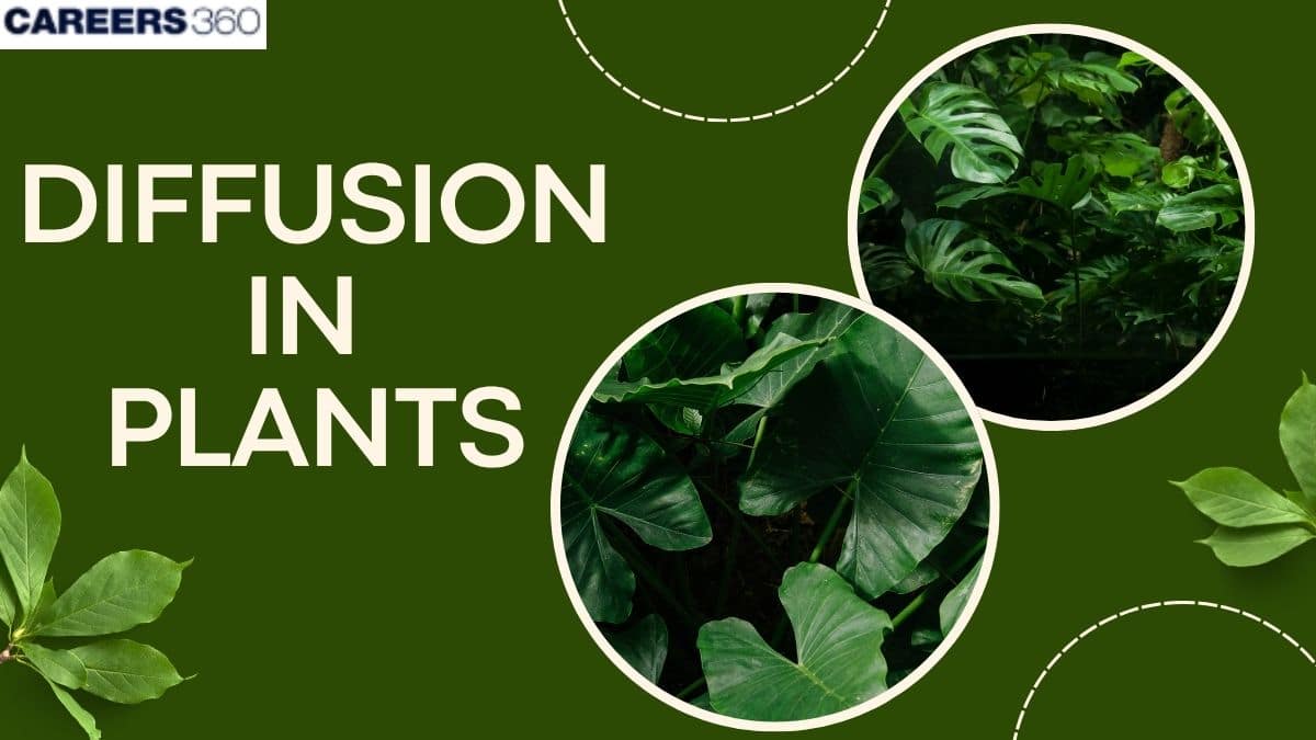 Diffusion In Plants : Definition, Meaning, Functions, Types, Topics ...