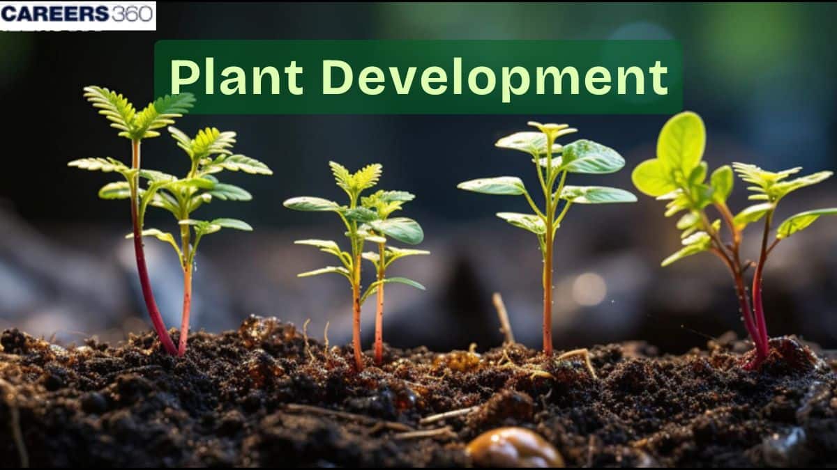 Plant Development: Definition, Stages, Principles, Topics, Importance