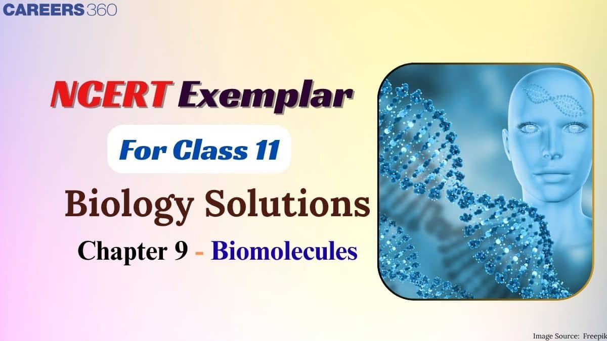 NCERT Exemplar Class 11 Biology Solutions Chapter