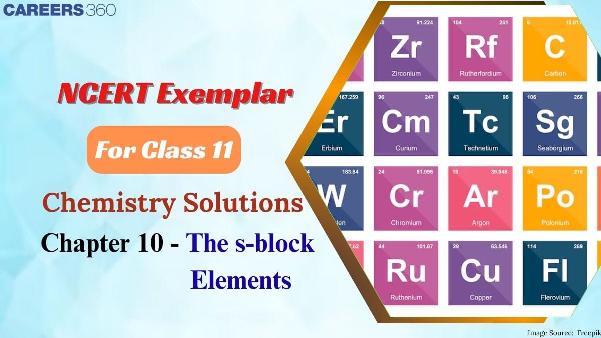 NCERT Exemplar Class 11 Chemistry Solutions Chapter 10 The s-Block ...