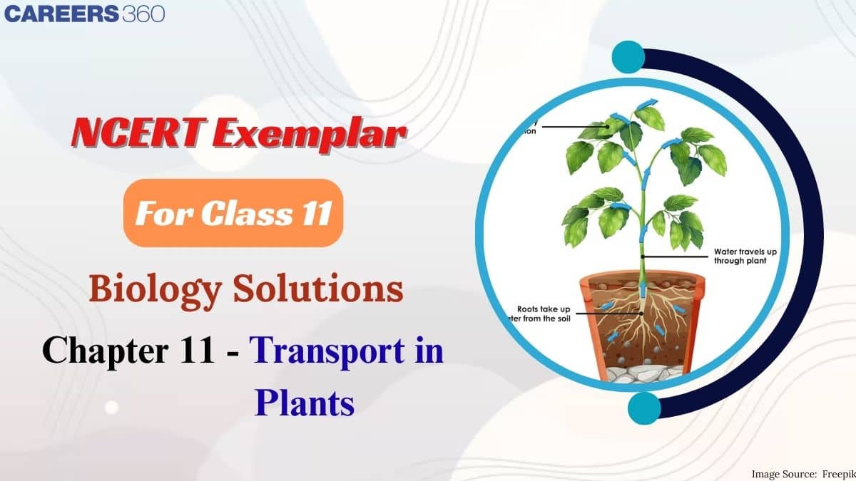 NCERT Exemplar Class 11 Biology Solutions Chapter 11 Transport in Plants