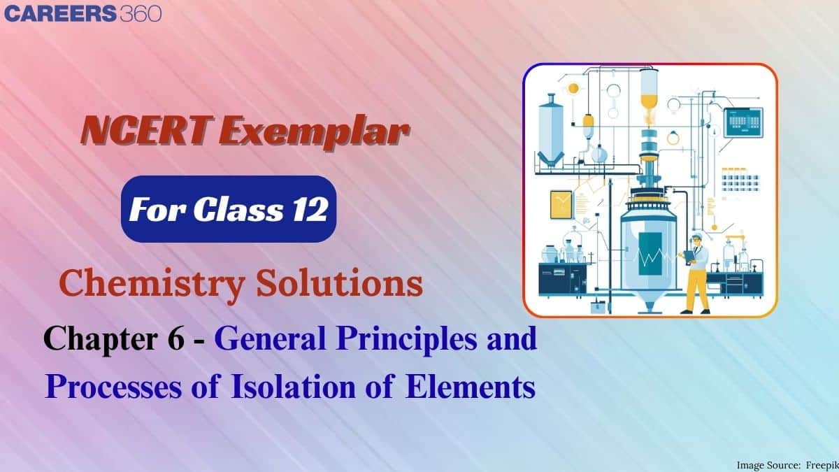 NCERT Exemplar Class 12 Chemistry Solutions Chapter 6 Principles and ...