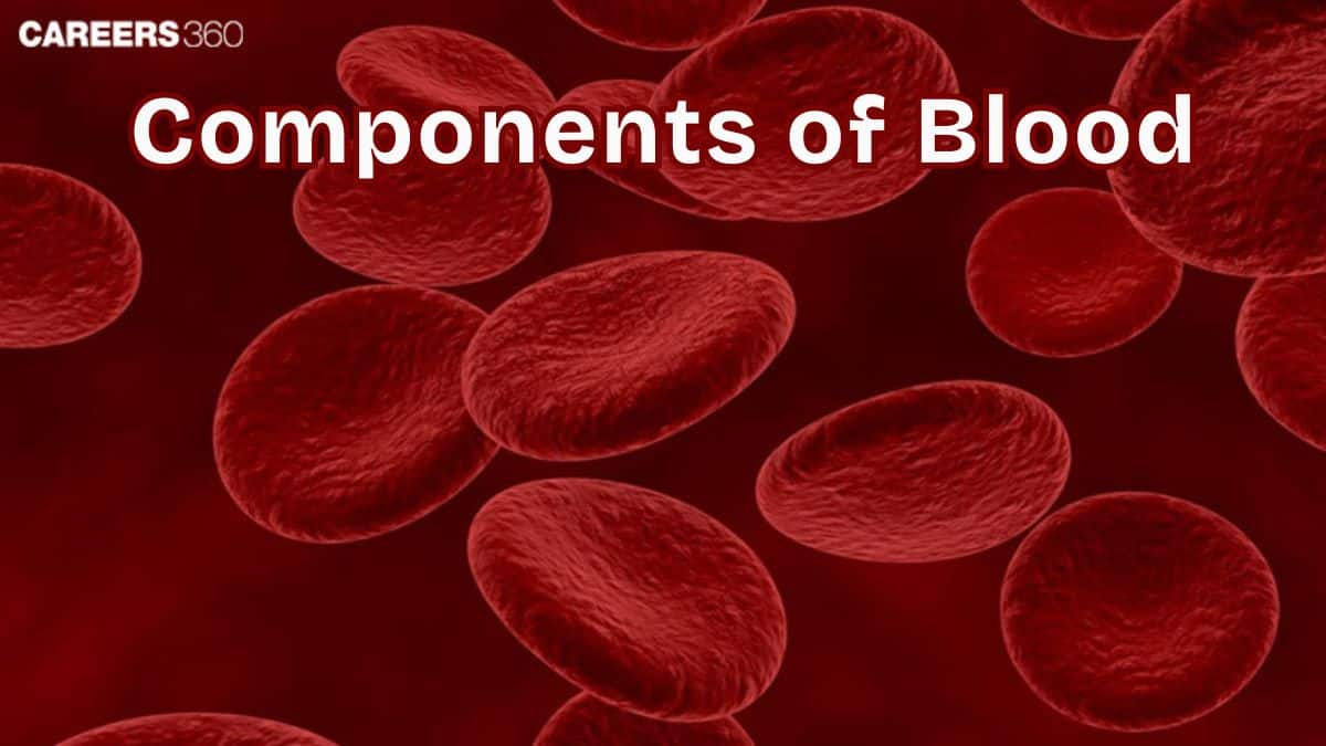 Components of Blood and their Functions