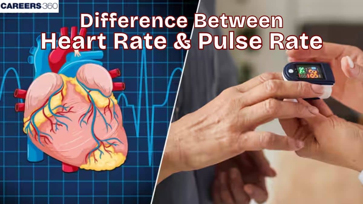 Difference Between Heart Rate and Pulse Rate