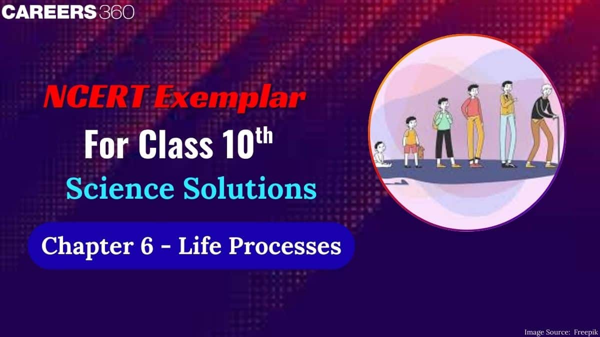NCERT Exemplar Class 10 Science Solutions Chapter 6 Life Processes 2021
