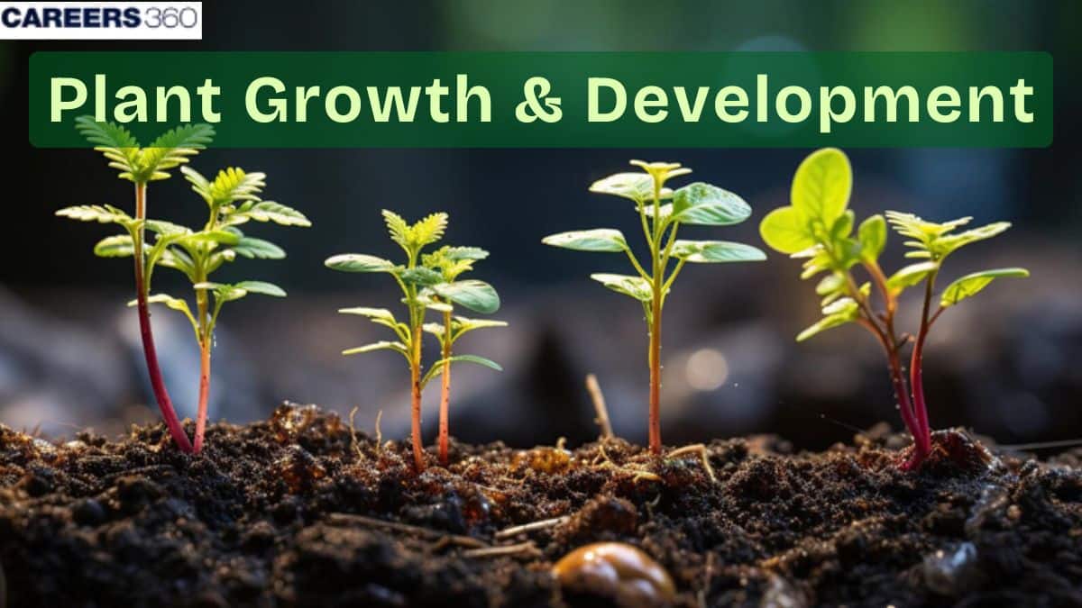 Plant Growth and Development: Topics, Overview, Phases, Factors, Books ...