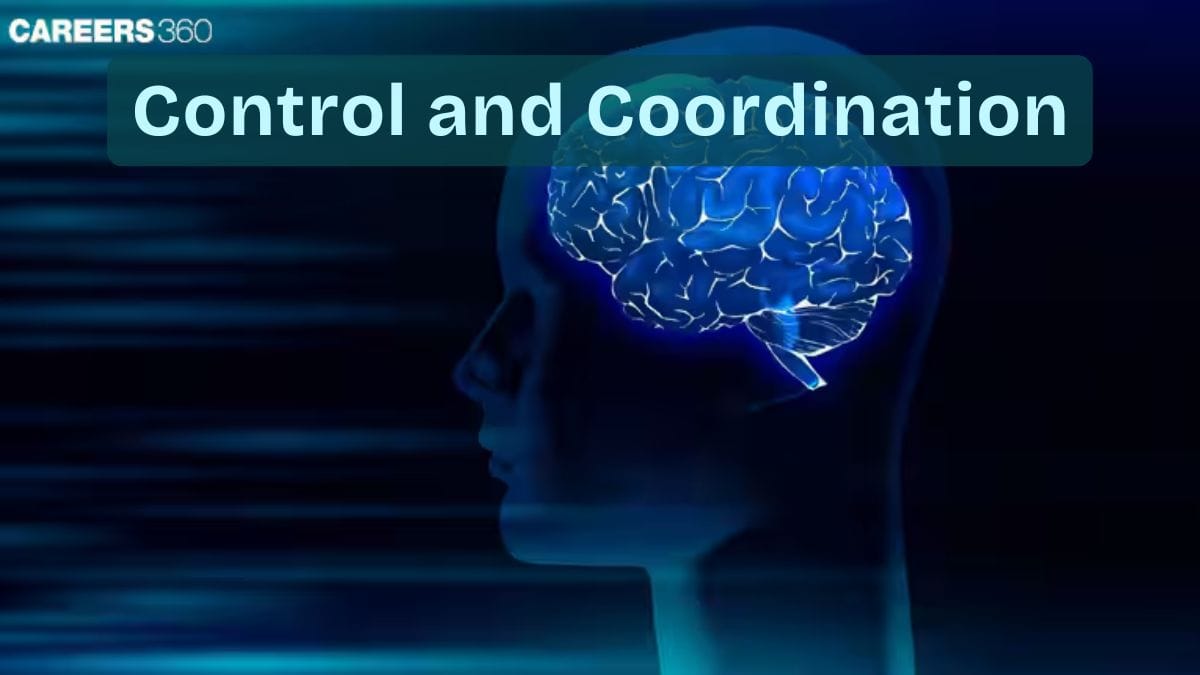 Control and Coordination - Types and Examples