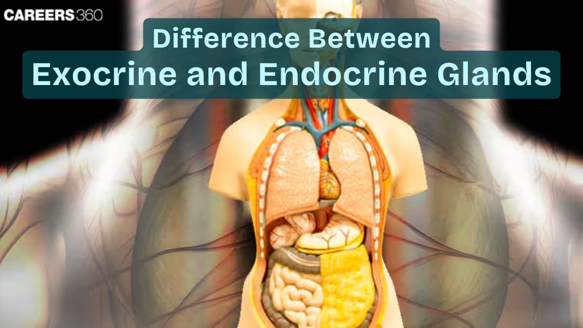 Endocrine vs Exocrine Glands: Functions & NEET Notes