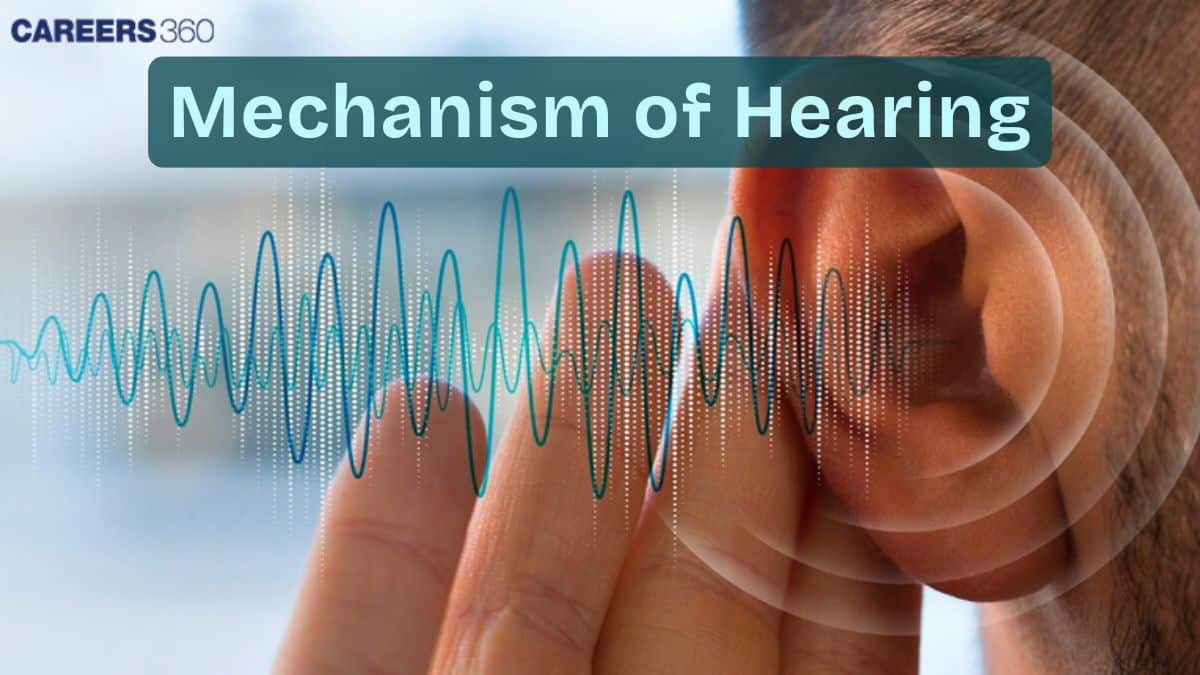 Mechanism of Hearing: Steps, Pathway & Diagram (NEET Notes)
