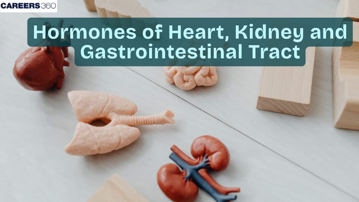 Hormones of Heart, Kidney & GI Tract | NEET Notes