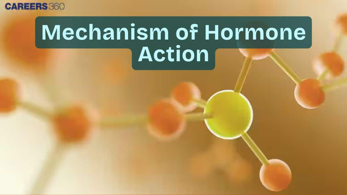 Hormone Receptors & Mechanism of Hormone Action | NEET