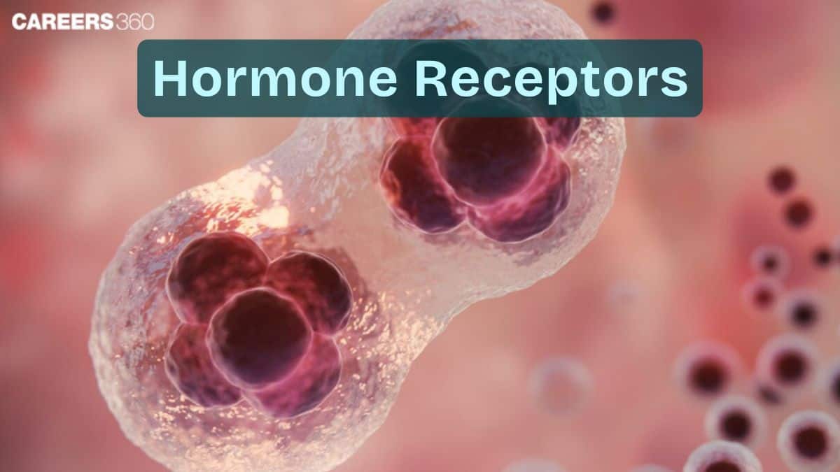 Hormone Receptors: Types, Mechanism & NEET Notes
