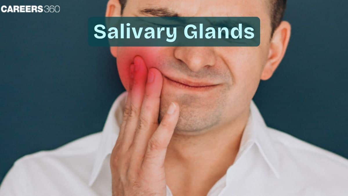 Salivary Glands: Structure, Functions & NEET Notes