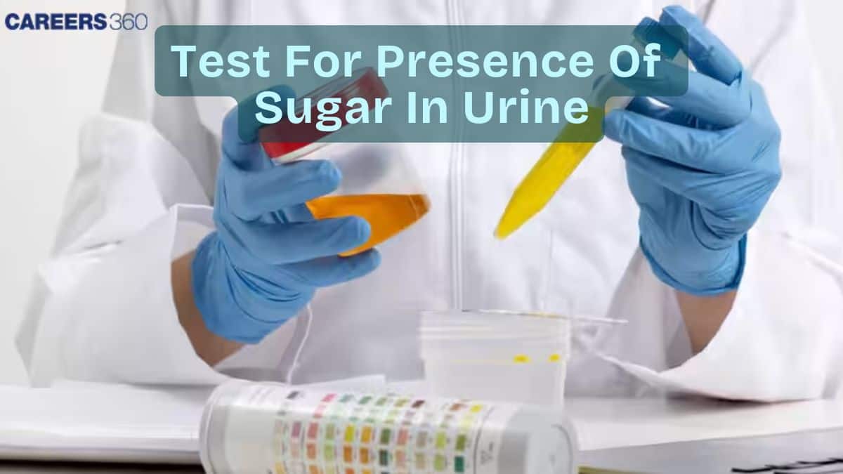 Test For Presence Of Sugar In Urine- Purpose, Procedure, And Results